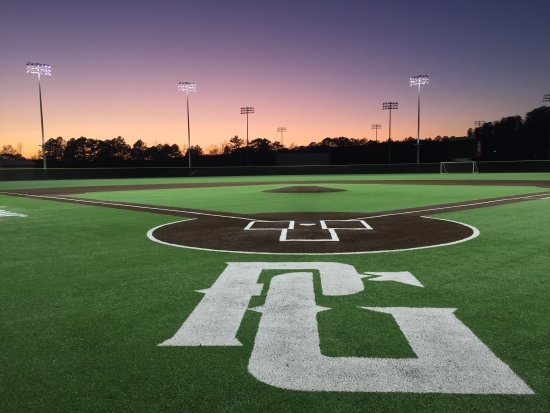 Bleeding Yankee Blue: DAVID CONE'S SOLUTION TO GETTING BASEBALL BACK!