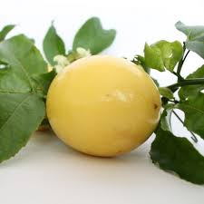 Kilimo cha matunda ya pasheni,pesheni au Karakara (Passion fruit ...