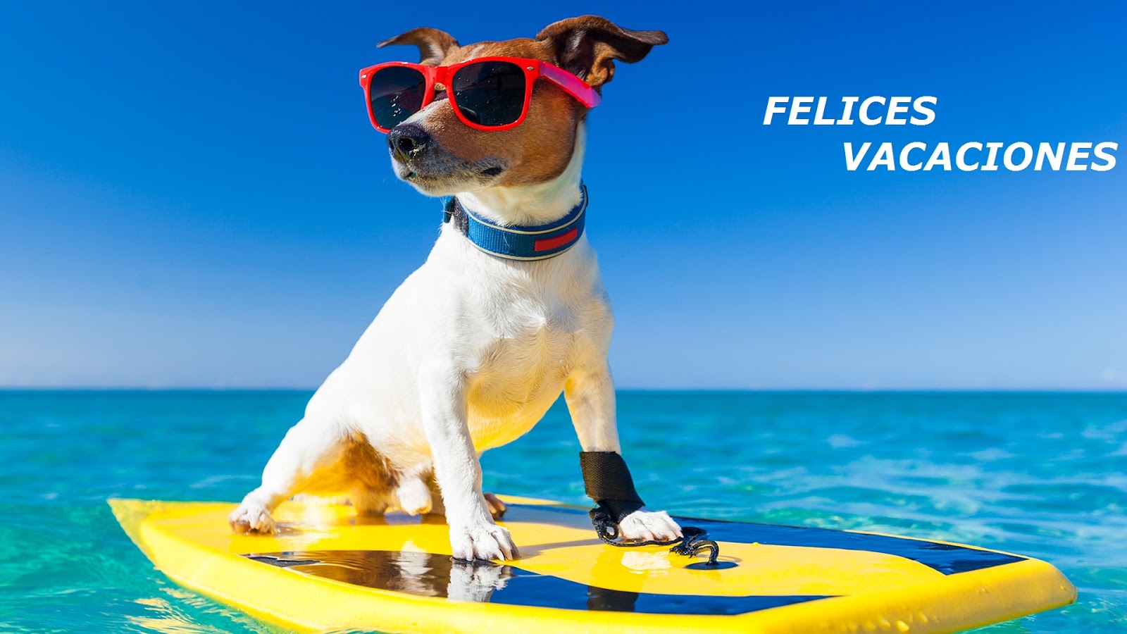 Las Mejores Vacaciones Del Mundo