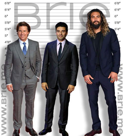 Oscar Isaac Height - Brie
