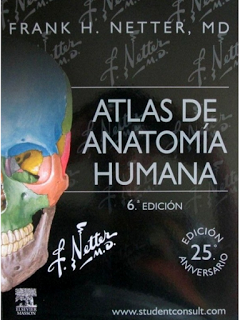 Atlas de Anatomía Humana Netter 6ª edición pdf