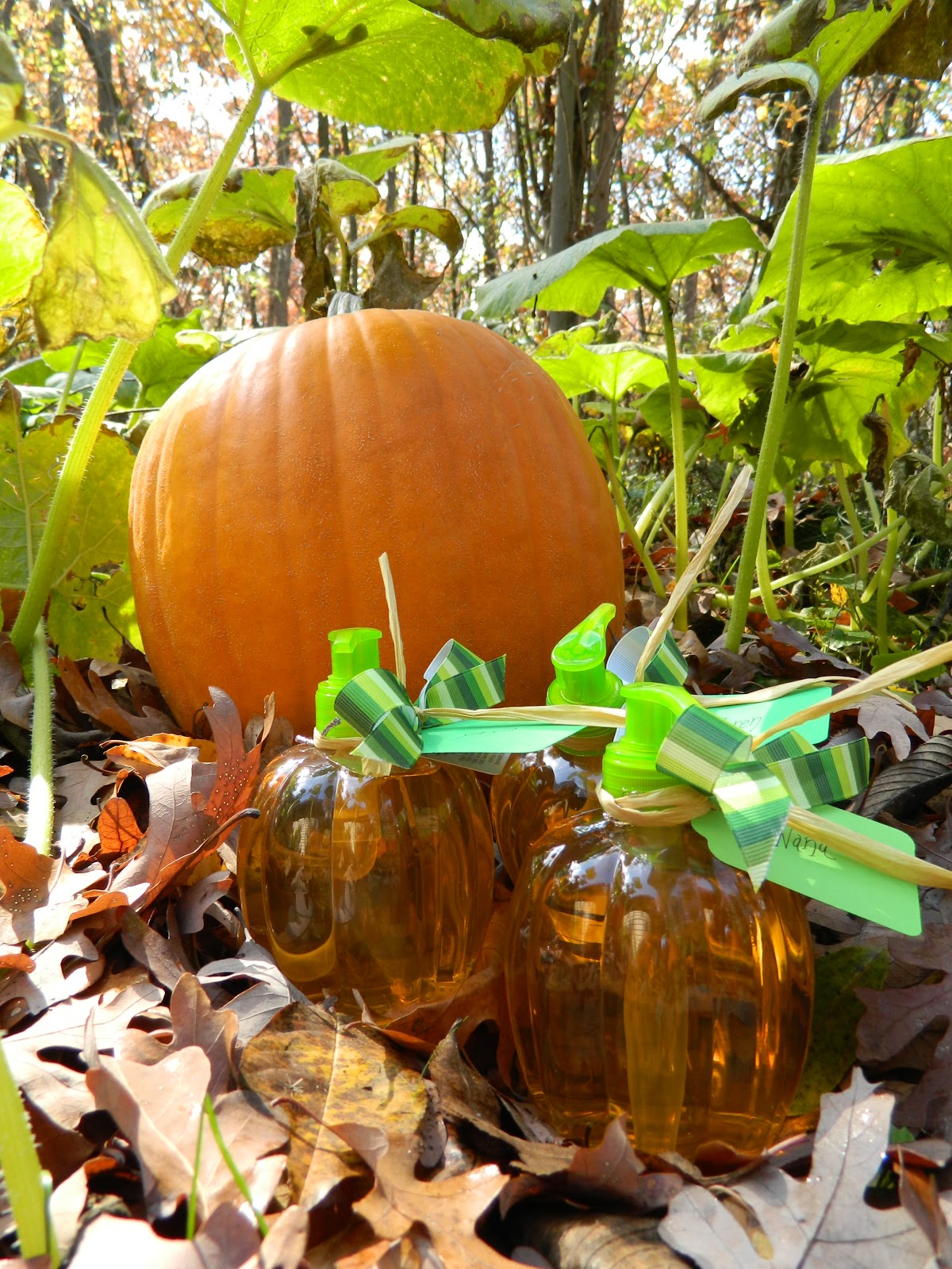 What Happens at Grandma's: Halloween Harvest Party