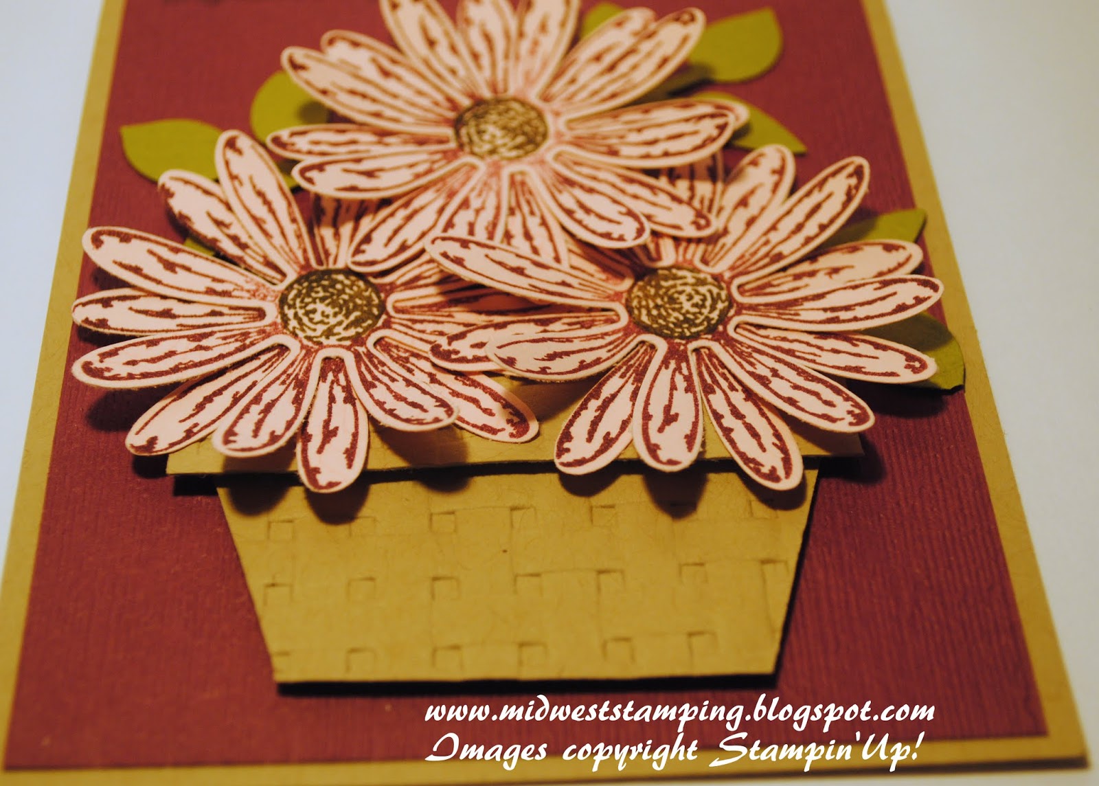 Stamping in the Midwest: Daisy Delight Stamp Set by Stampin'Up!