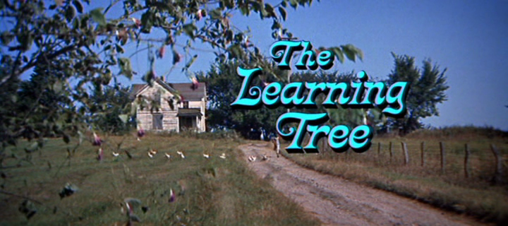 The Department of Afro American Research, Arts and Culture