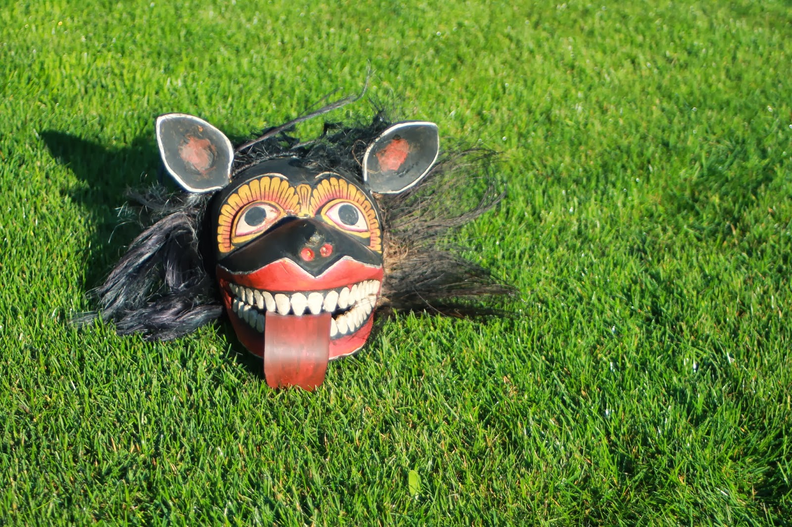 Nadee paws: Creeping up on Halloween, the Sri Lankan way.