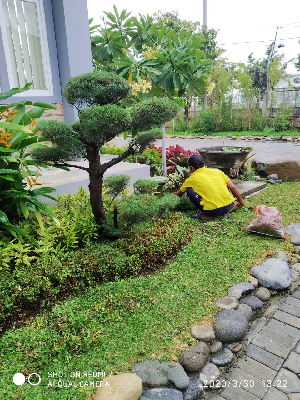 TIPS CARA PERAWATAN TAMAN OLEH SINOX NURSERY ~ SINOX NURSERY