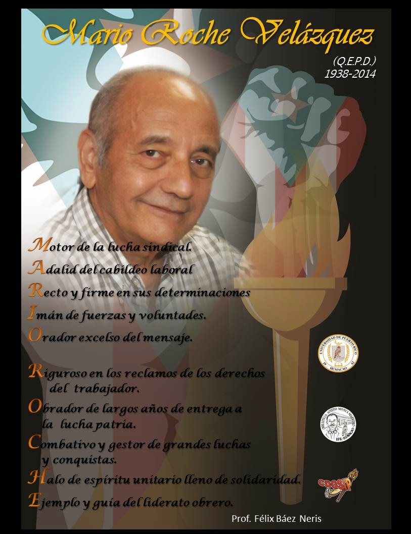 IN MEMÓRIAM MARIO ROCHE VELÁZQUEZ