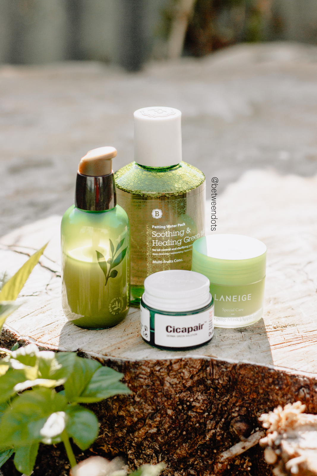 Green beauty: 7 K-beauty brands to check on Earth Day | KHERBLOG | All ...