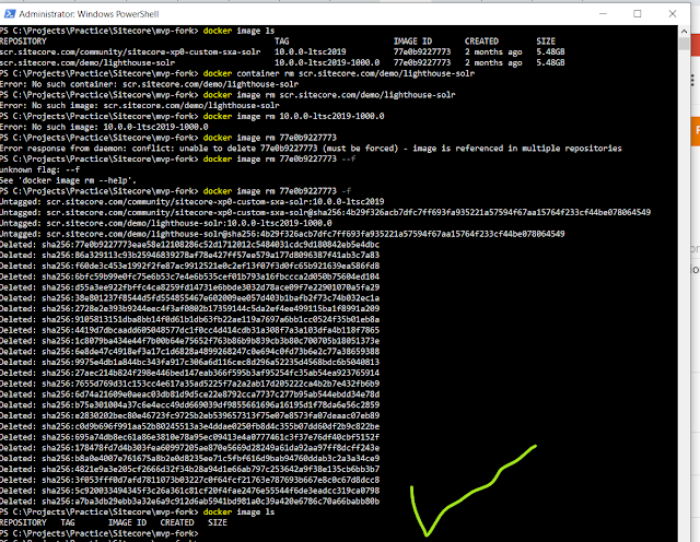 Sitecore Xm Cloud Ordercloud Cdp Personalize Contenthub And Send Sitecore Docker Fix
