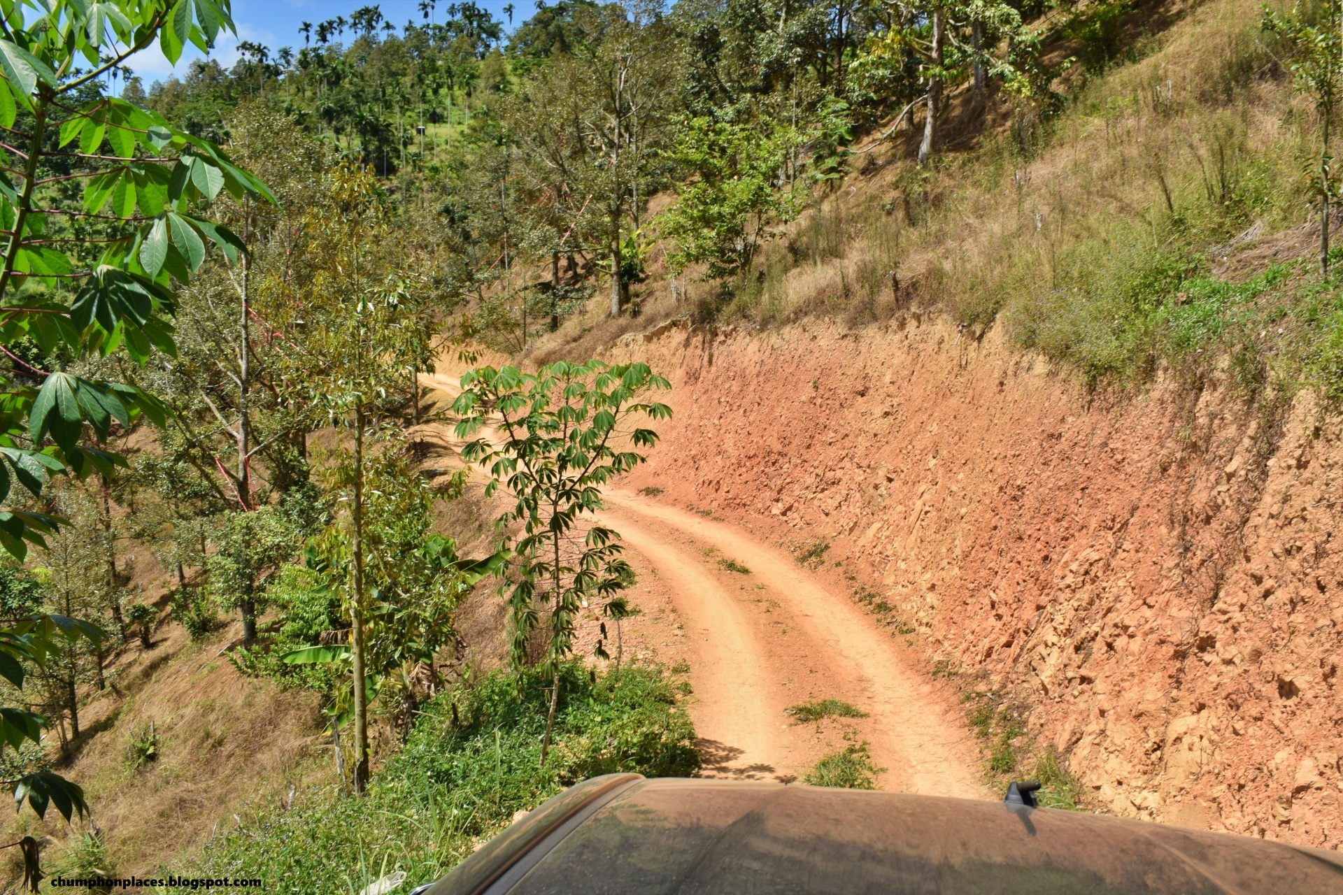 Doi Tapang Viewpoint