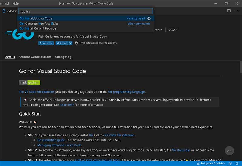 Golang Setup – SkillPlus