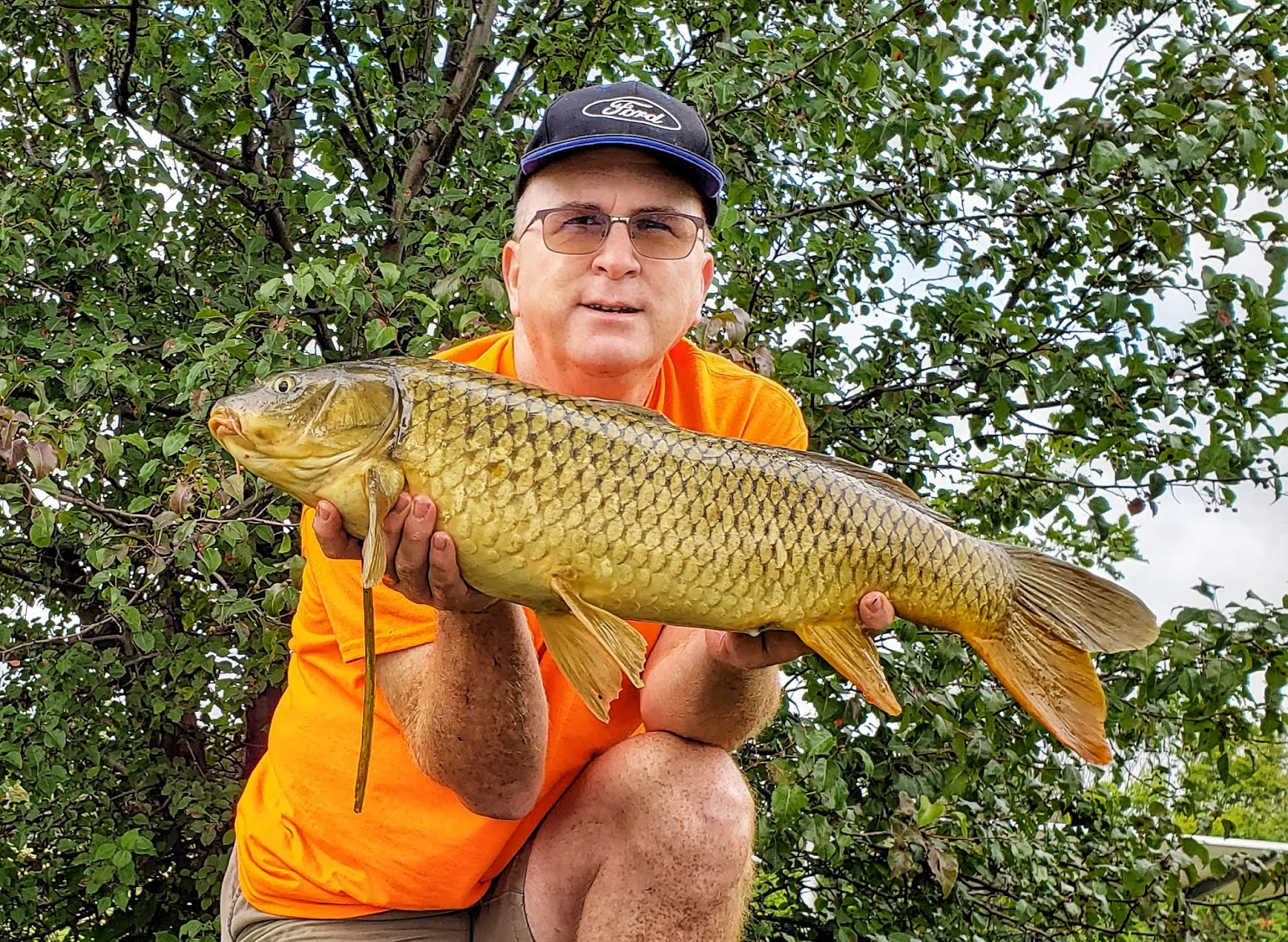 Michigan Carp Fishing Blog: carp fishing