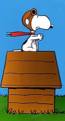 Qual a Raça do Snoopy? - Blog do Meu Querido Vira-Lata