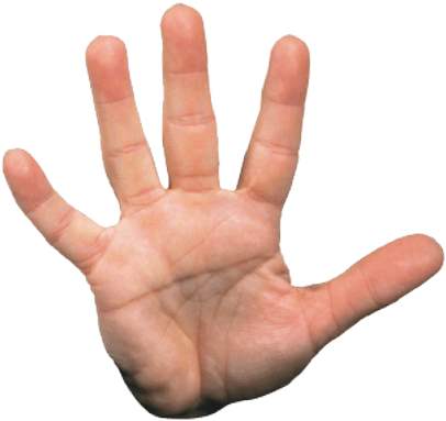 FALSAFAH LIMA JARI DAN MENGETAHUI MAKNA DARI 5 JARI