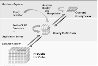 InfoObjects in SAP BW - SAP ABAP