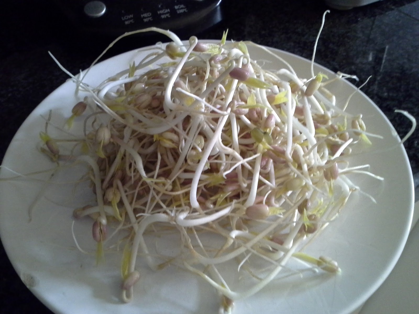 Xefs Catalans: Soja germinada