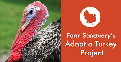 veegmama: Make Turkey Your Guest of Honor at This Year's Thanksgiving Table