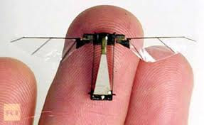 Conservablogger: TECH WATCH - MICRO 'mosquito' DRONES CAN SPY ON YOU