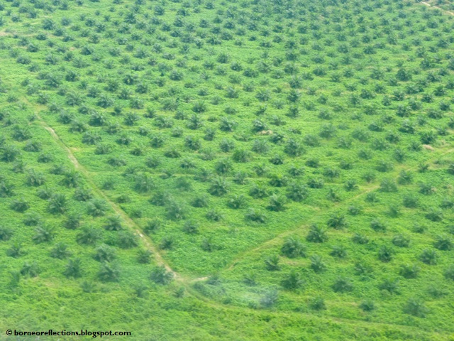 Borneo Reflections: A Visit To Tongod - Part 01 Kota Kinabalu To Telupid