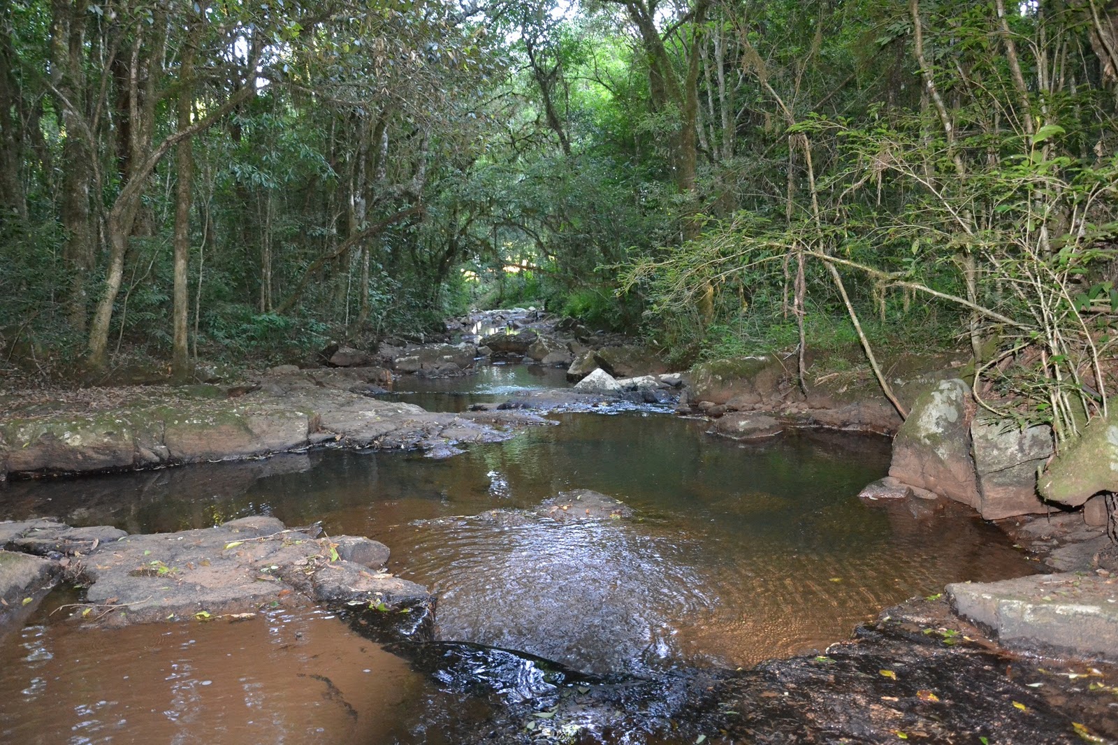 ANALISTA PRA QUE?: Trilha Linha Babenber e Pinhal - Treze Tílias /SC