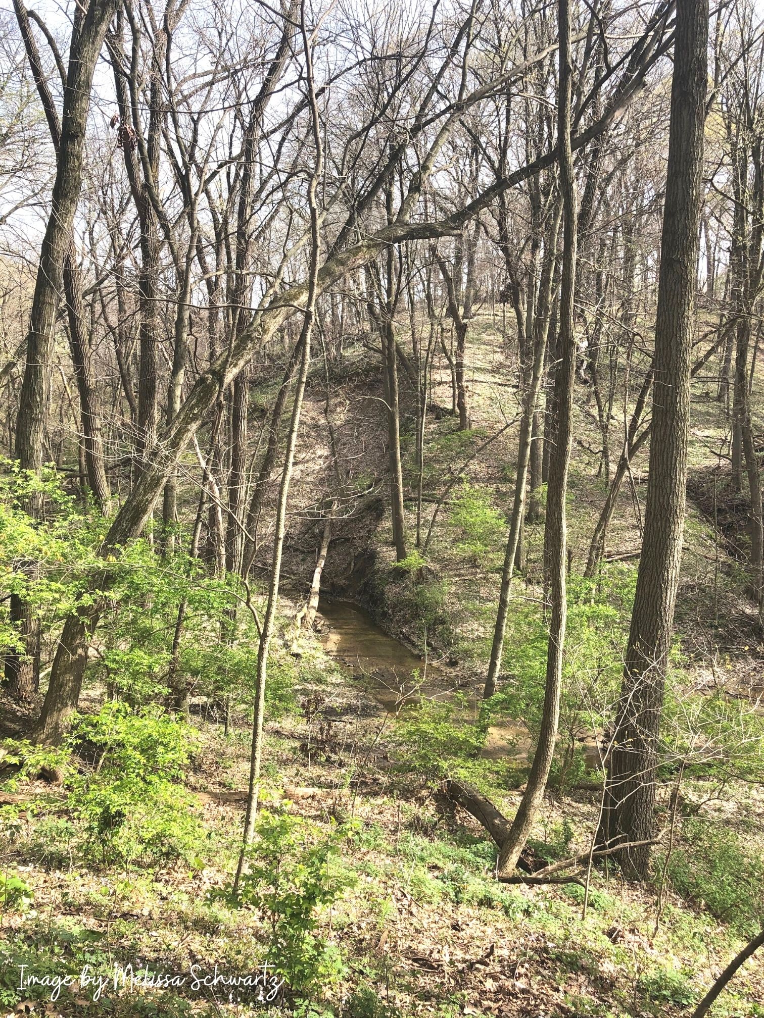 A Little Time and a Keyboard: Ravines, Wildflowers and Views Sparkle at ...
