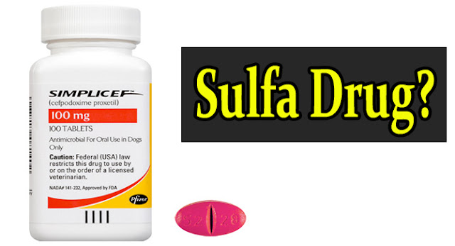 Is Simplicef A Sulfa Drug? Cefpodoxime Proxetil Medication ...