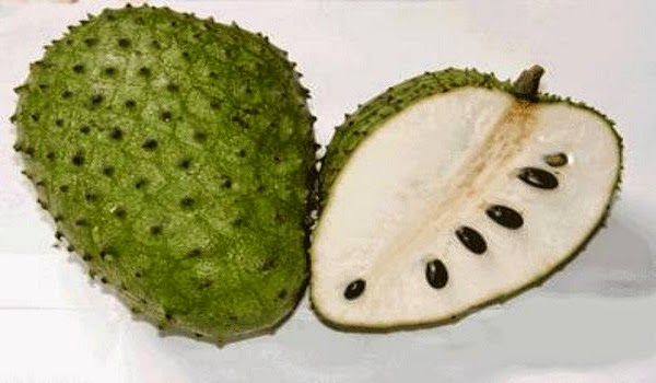 GRAVIOLA - SOURSOP: Soursop Fruit Kills Cancer (CNN IREPORT)