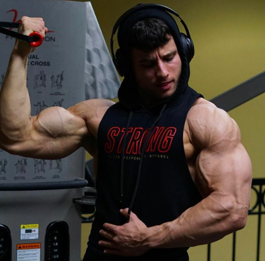 Muscle, Muscle, Muscle: Muscle