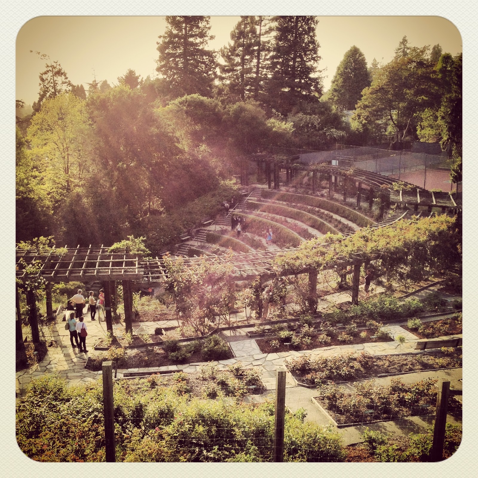 Little Hiccups: Codornices Park, Berkeley