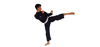 4 jenis tendangan dalam pencak silat