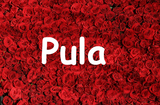 List of English and Tagalog Names of Colors - Filipino Parenting