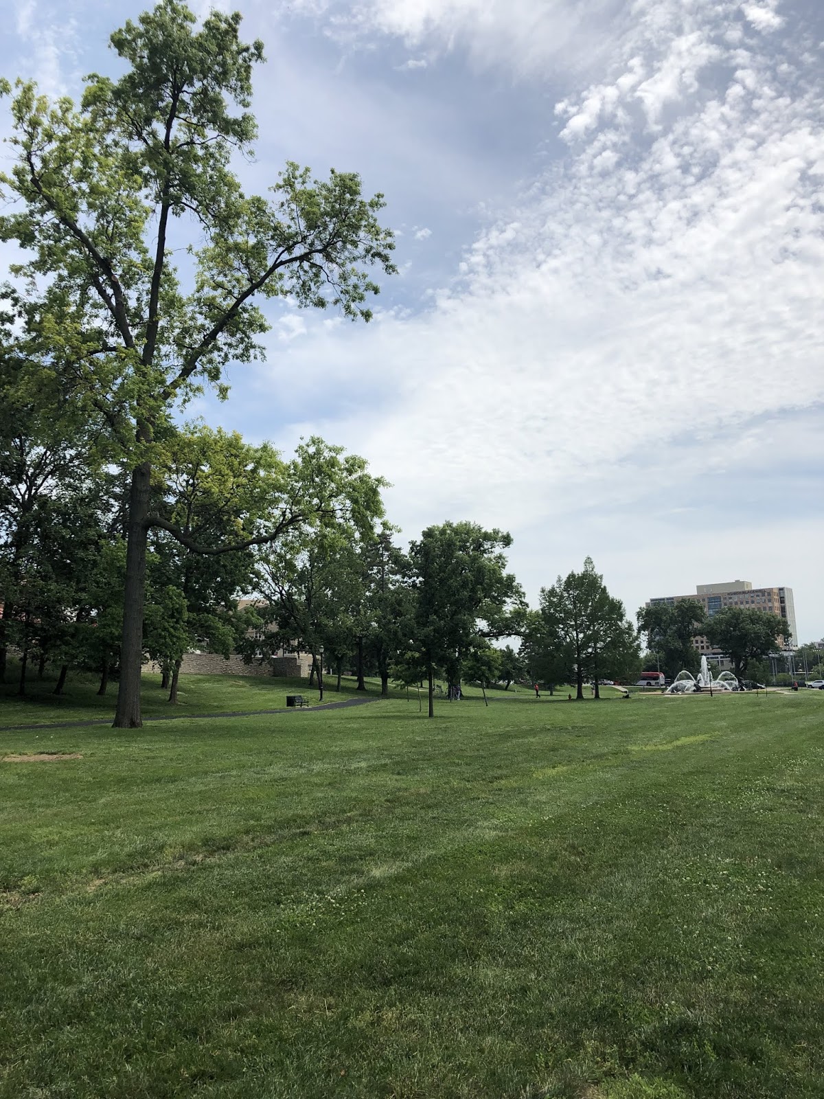 Arbor Veritas -(Tree Truth)