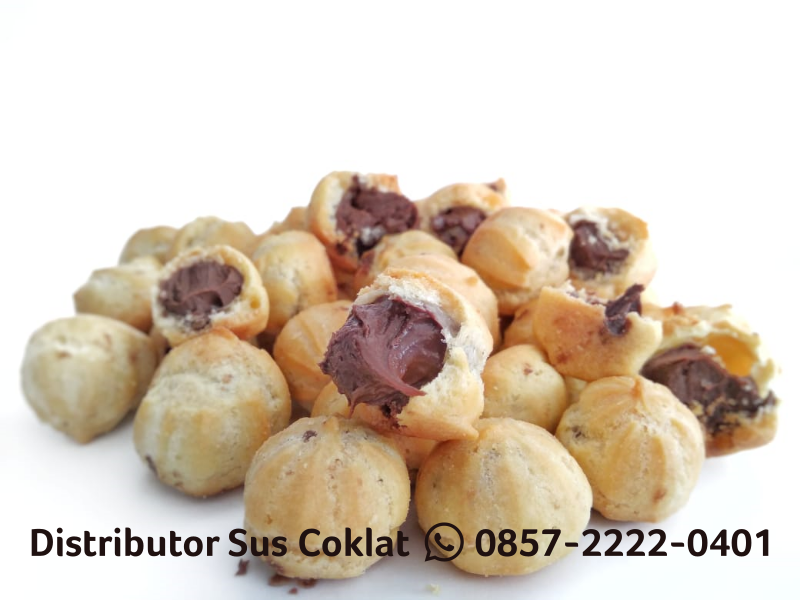 WA : 0857-2222-0401 Distributor Snack Sus Coklat Kemasan