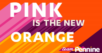 Public Transport Experience: Transdev Pink Transformational for ...