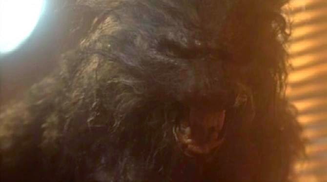 The Hannibal lecters Society