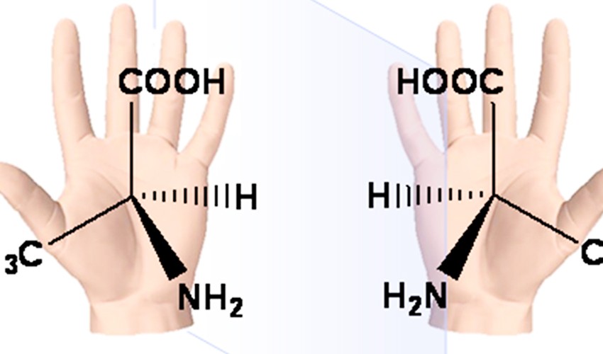 Pity the learner: The Left-handed signature in our flesh
