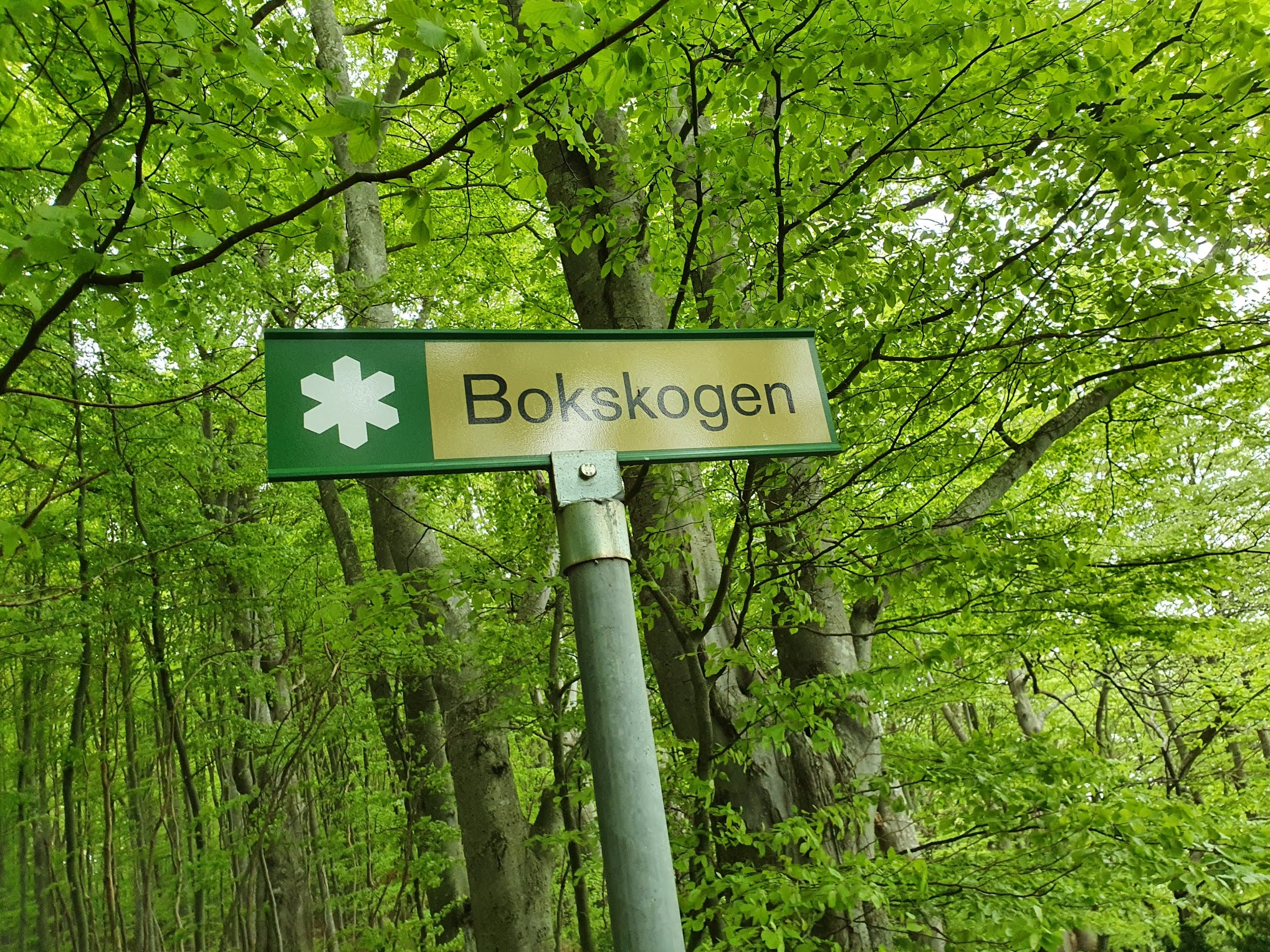 Team Vildmark: Vandring Omberg runt