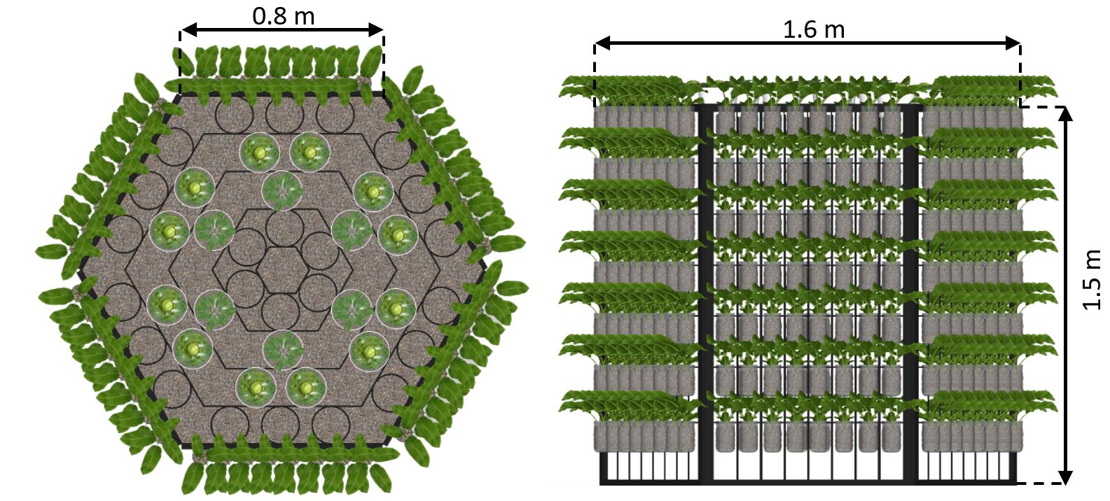 Desain Vertikultur Multifungsi sebagai Sarana Penunjang Program Buruan ...