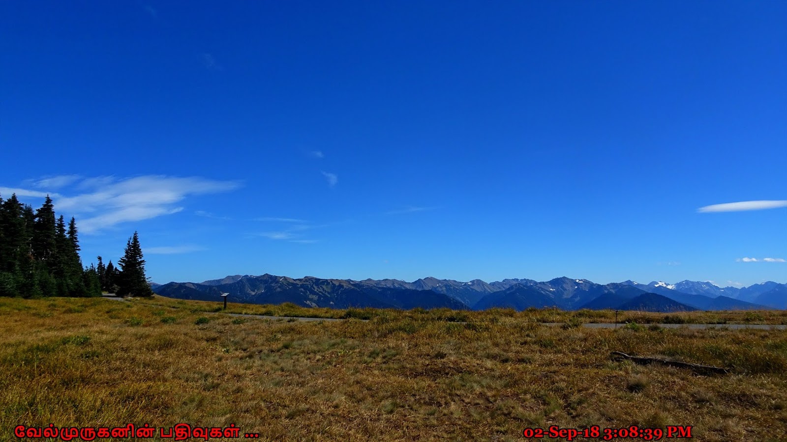 Hiking Trails at Hurricane Ridge - Exploring My Life