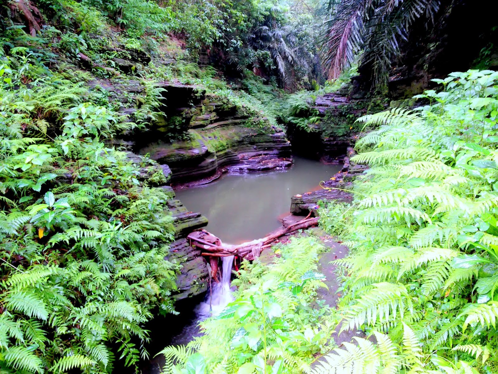 Batangas Travel Destinations and Nature Tripping - moredantravels