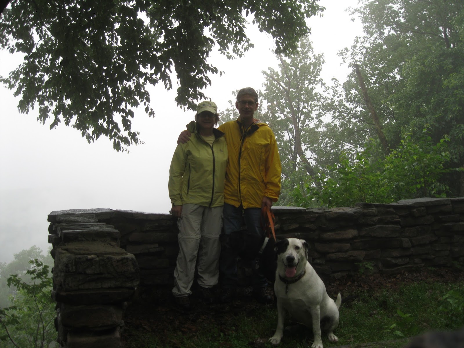 Wandering and Wondering with Wendy