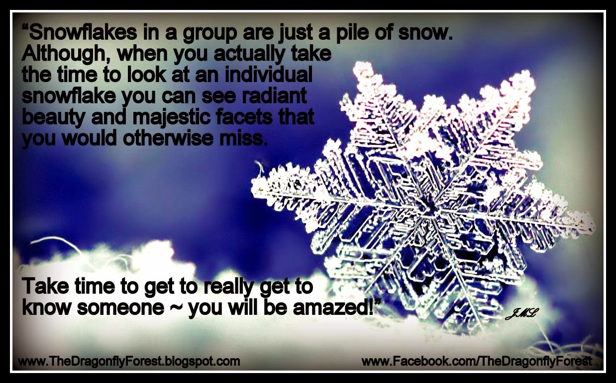 The Dragonfly Forest: People are like snowflakes
