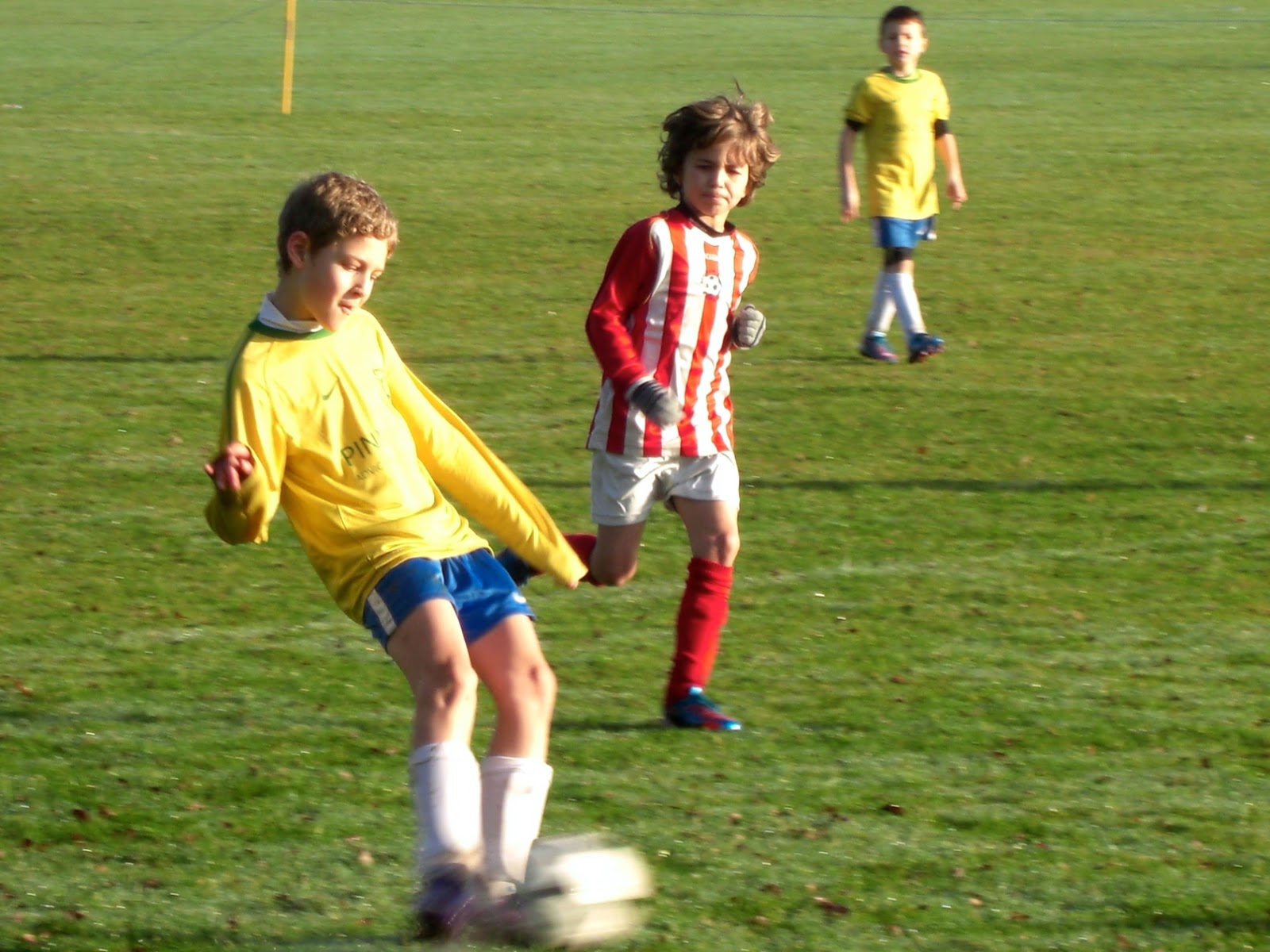 Heigham Park Rangers Under 9s 2012/13