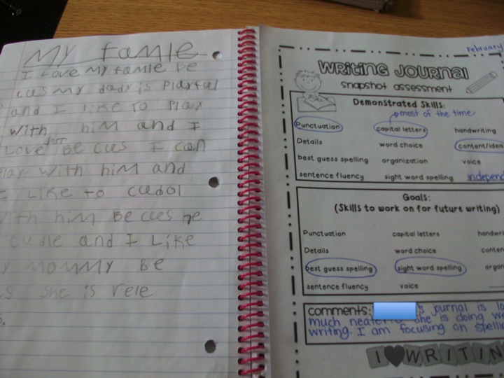 Writer's Notebooks - Sarah's Teaching Snippets