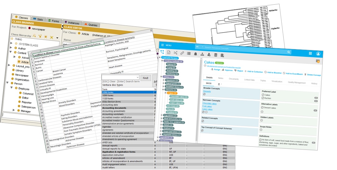 The Accidental Taxonomist: Who Should Create Taxonomies?