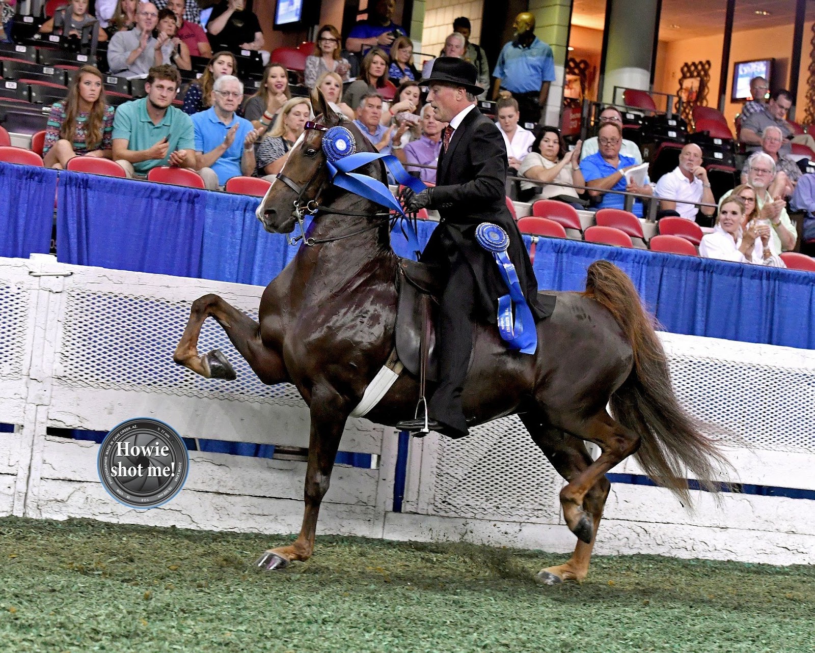 The American Saddlebred: 5/6/17 3 Gaited World's Grand Champions 1983 ...