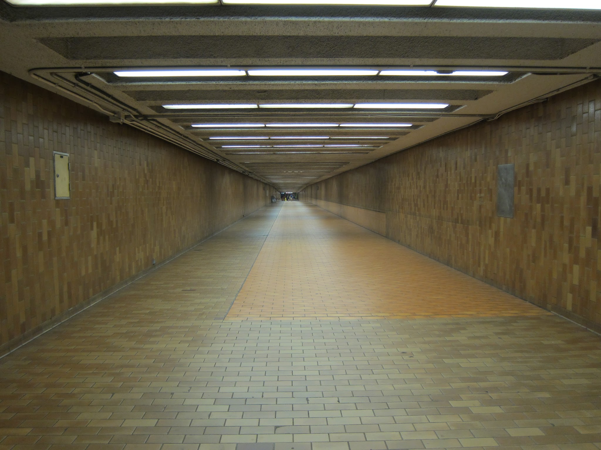 Station Fixation: Spadina