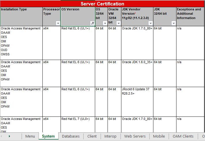 Oracle Identity And Access Management Installation