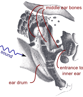 Resonances, waves and fields: 3.16b Looking at the resonator part of ...