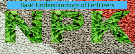 Basic Understanding of Fertilizers